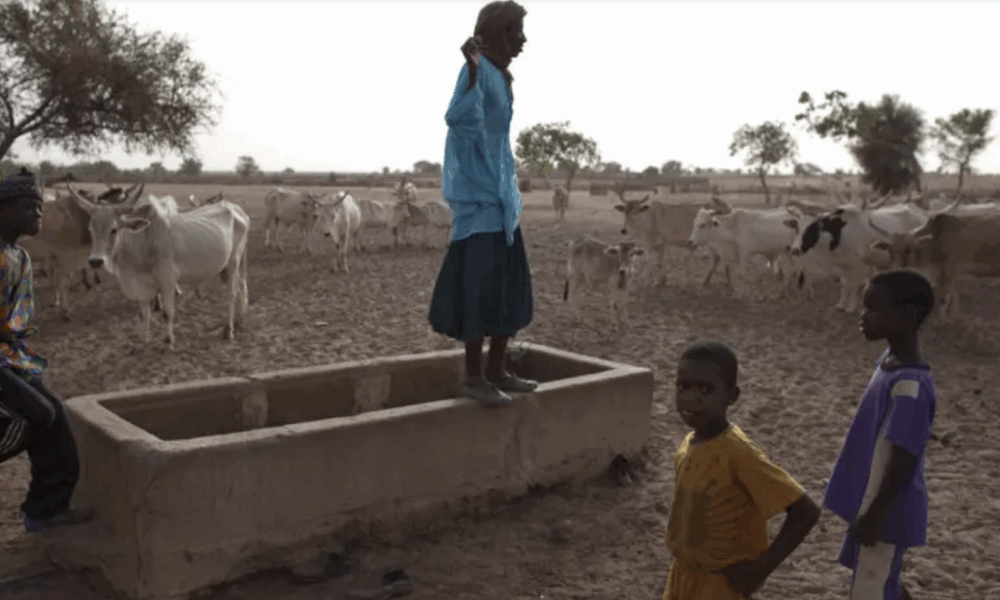 Sahel, la gestion de l’eau source de conflits entre éleveurs et agriculteurs – Fronteco